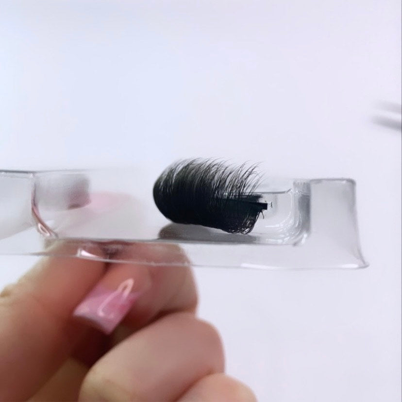 Striplashed – striplashed